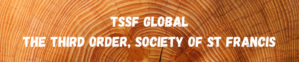Home [tssfglobal.org]